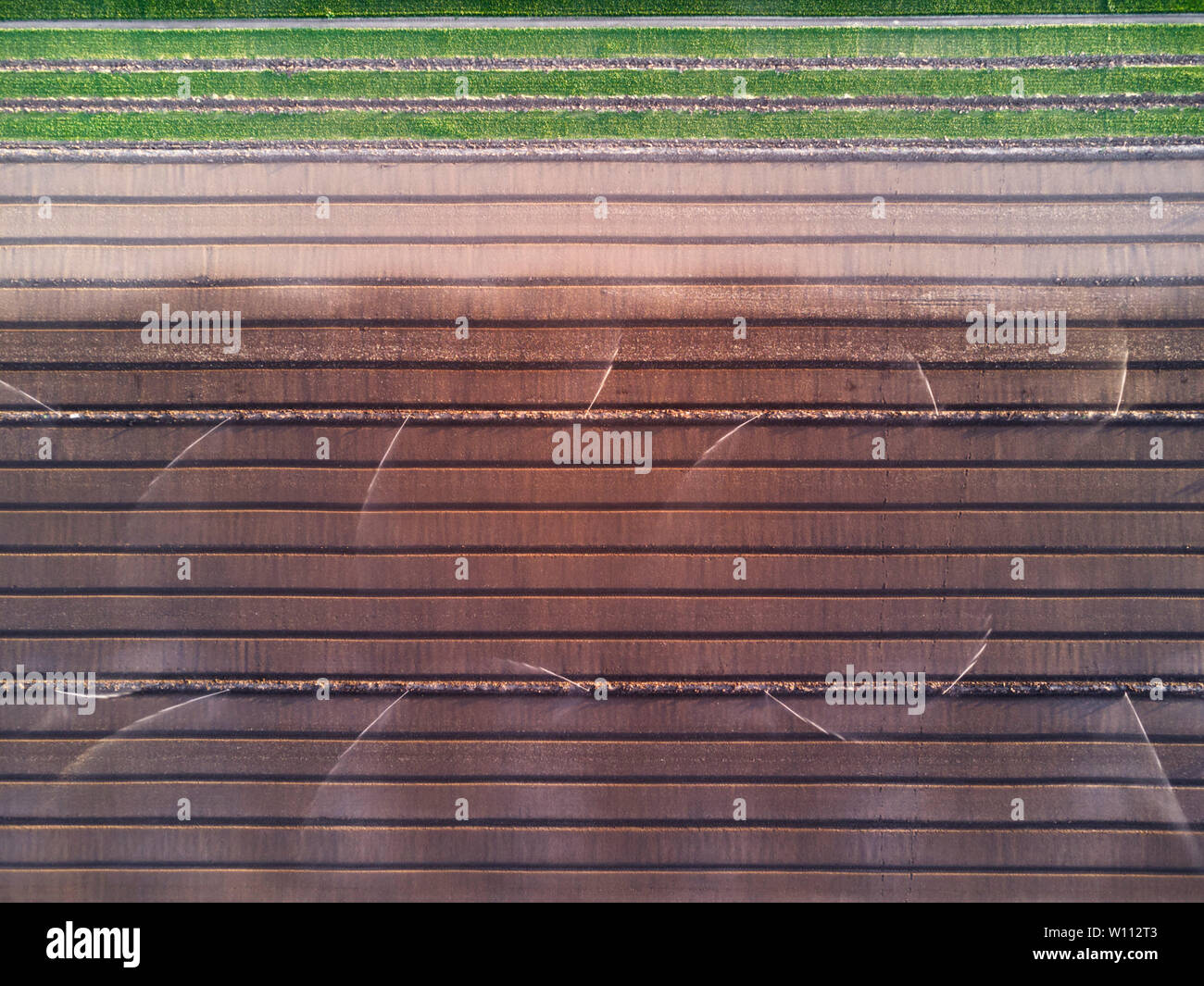 Aerial of irrigation system on a lettuce salad farm (Dicky Bill) at ...