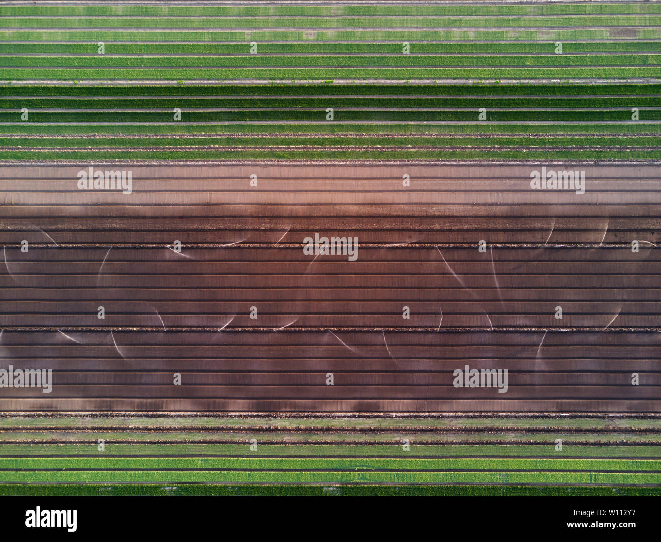 Aerial of irrigation system on a lettuce salad farm (Dicky Bill) at ...
