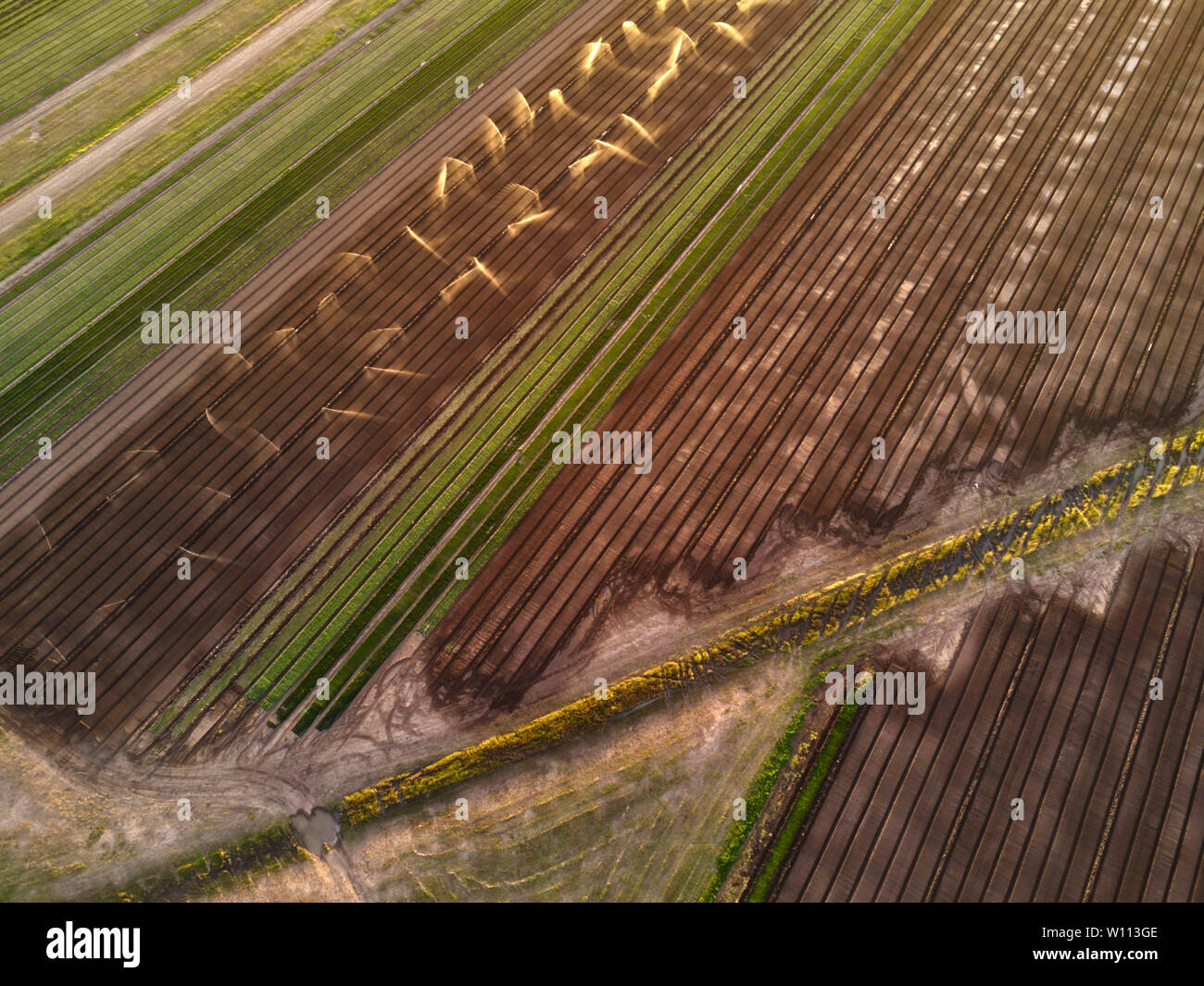 Aerial of irrigation system on a lettuce salad farm (Dicky Bill) at ...