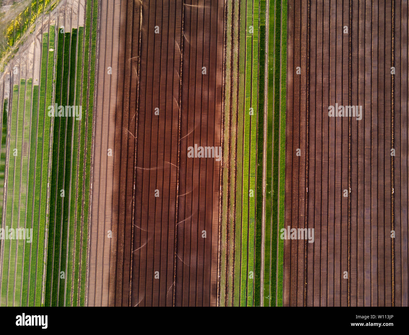 Aerial of irrigation system on a lettuce salad farm (Dicky Bill) at ...