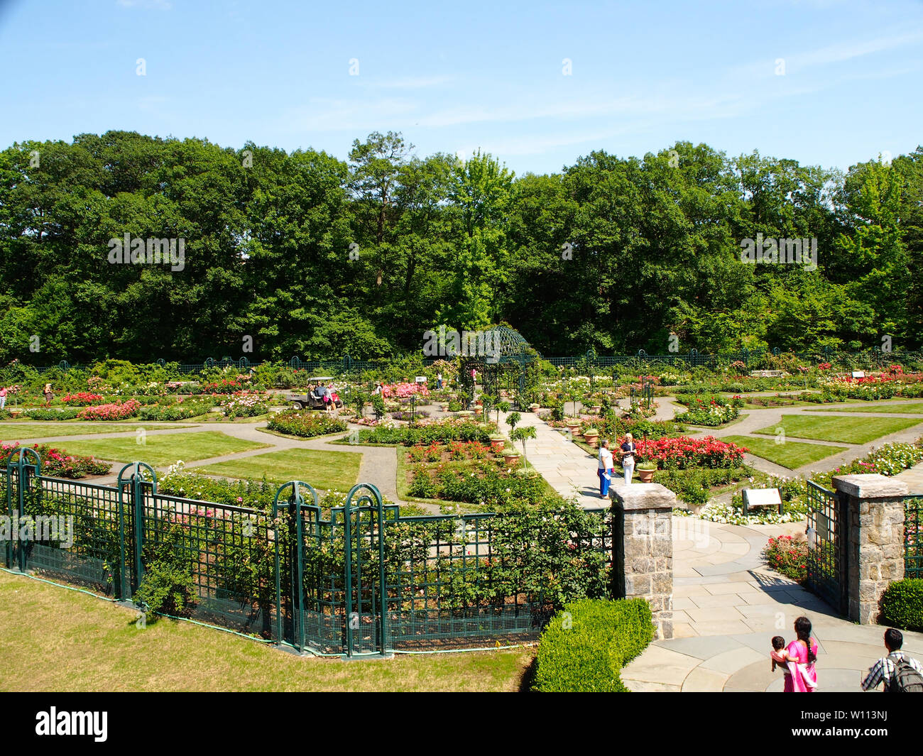 New York - United States, June 26, 2015 -Peggy Rockefeller Rose Garden ...