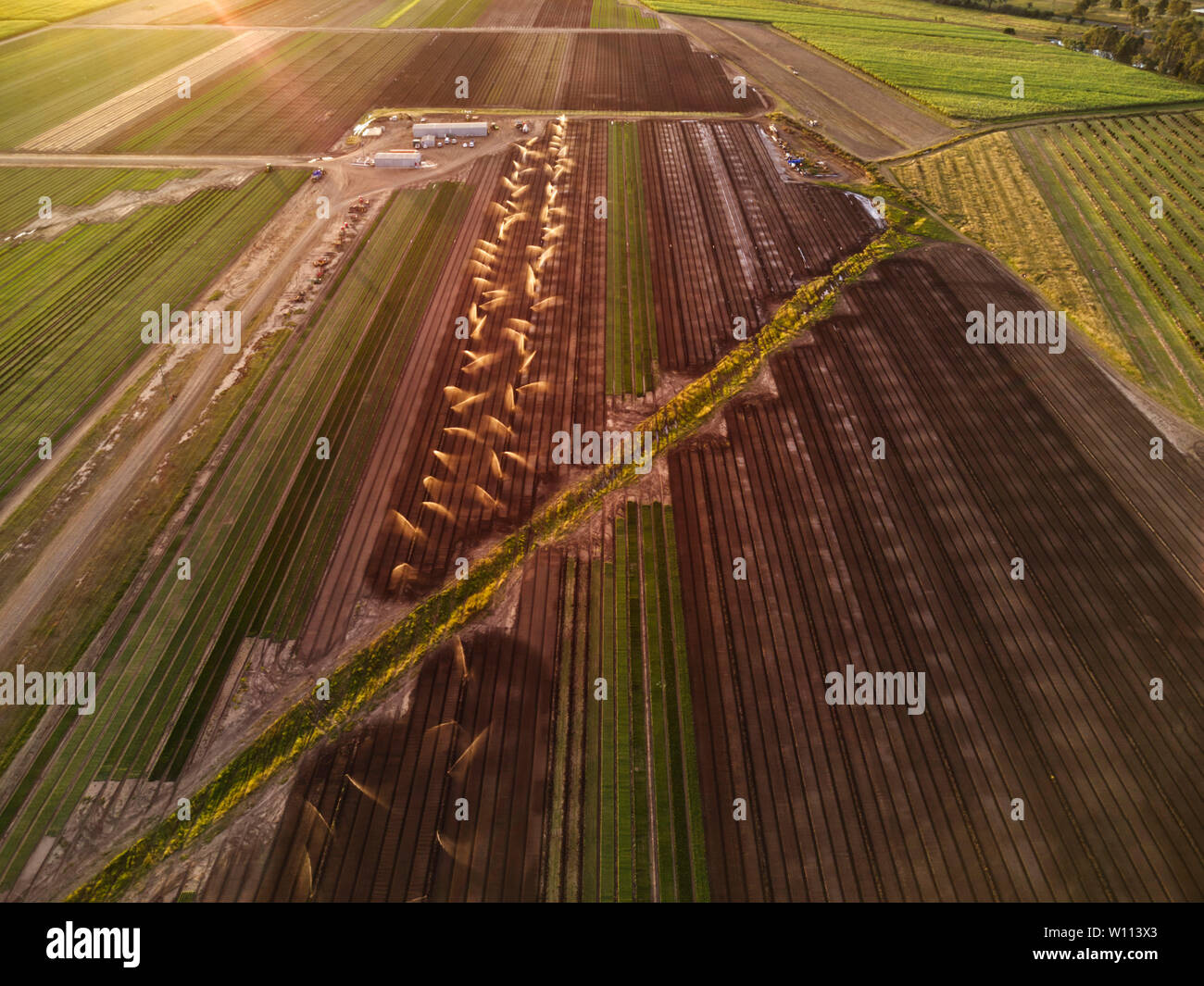 Aerial of irrigation system on a lettuce salad farm (Dicky Bill) at ...