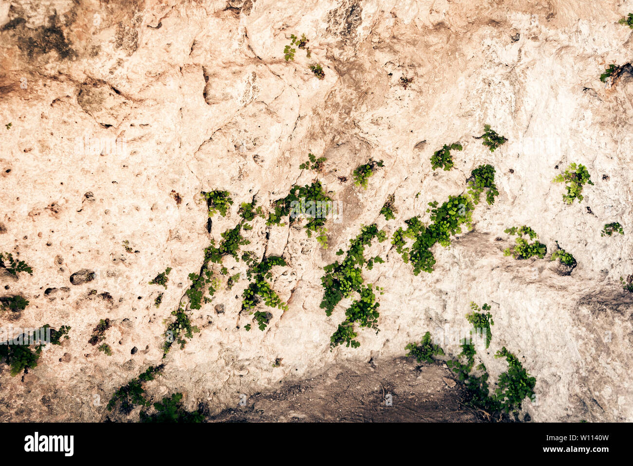 stone texture – wall background in ancient limestone cave Stock Photo ...