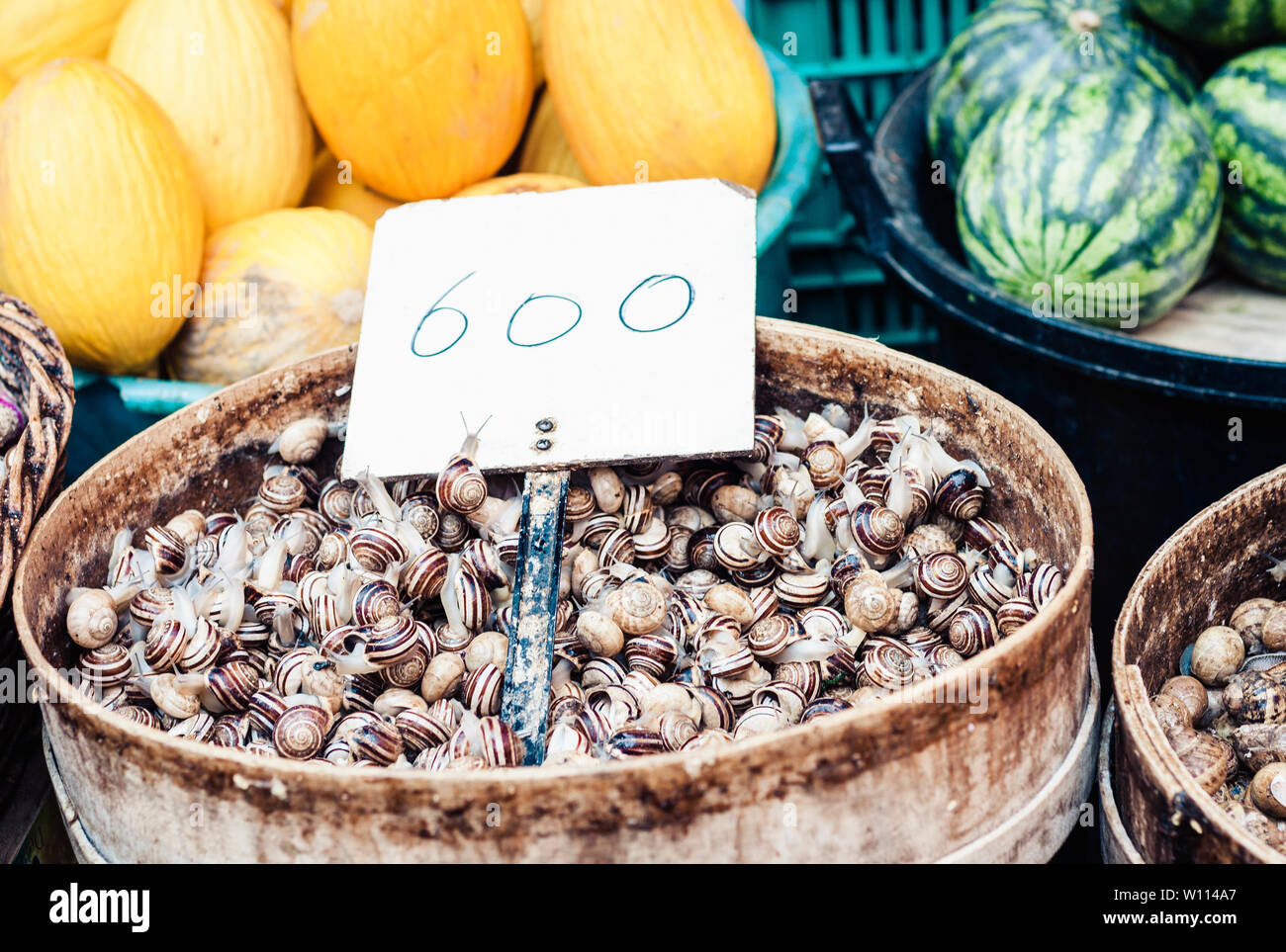 Raw snails alive for sale in the fish market Pescheria of Catania ...