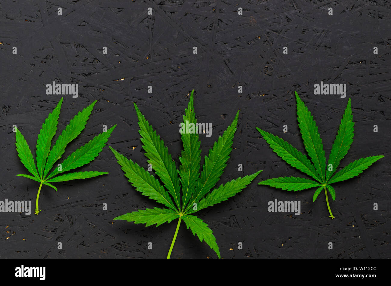 Black background herb hi-res stock photography and images - Alamy