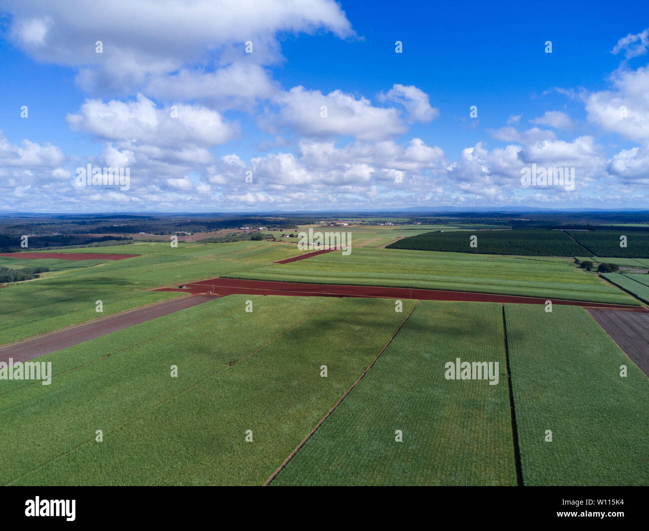 Aerial of sugar cane plantation growing near Childers Queensland ...