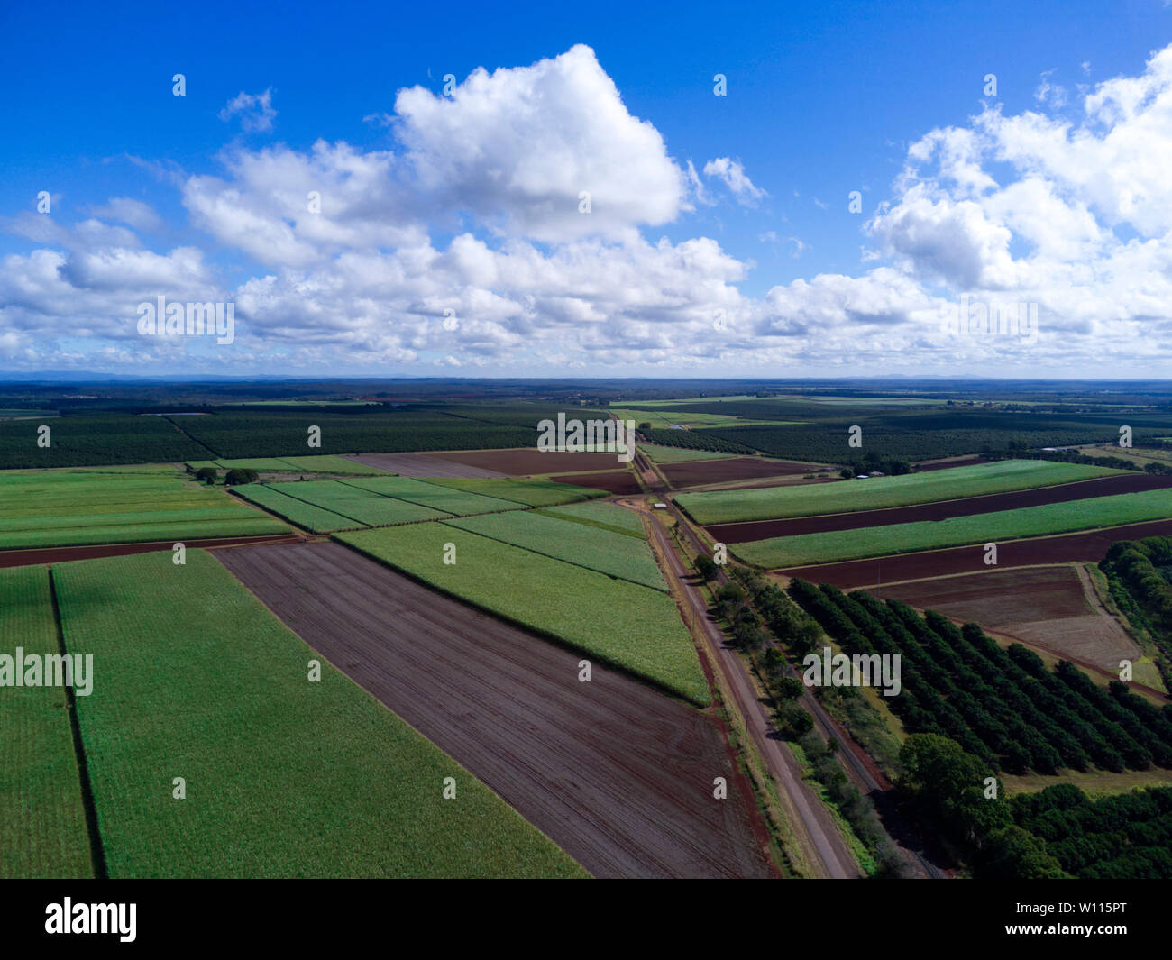 Aerial of macadamia nut plantation and sugar cane near Childers ...