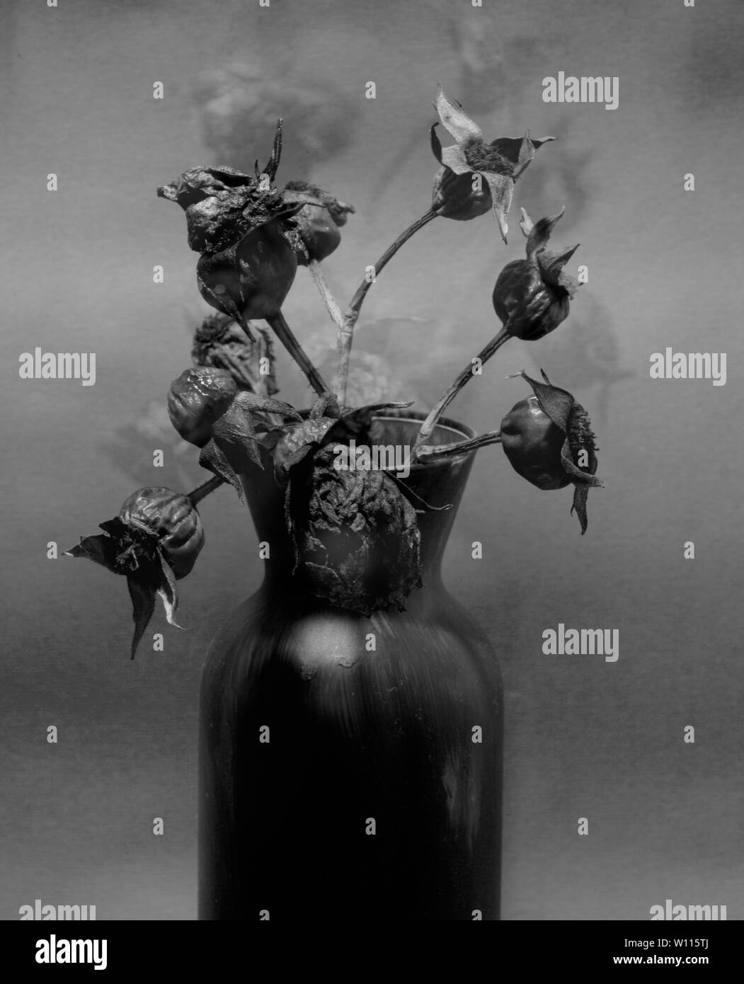 Stock photos alamy Black and White Stock Photos & Images - Alamy