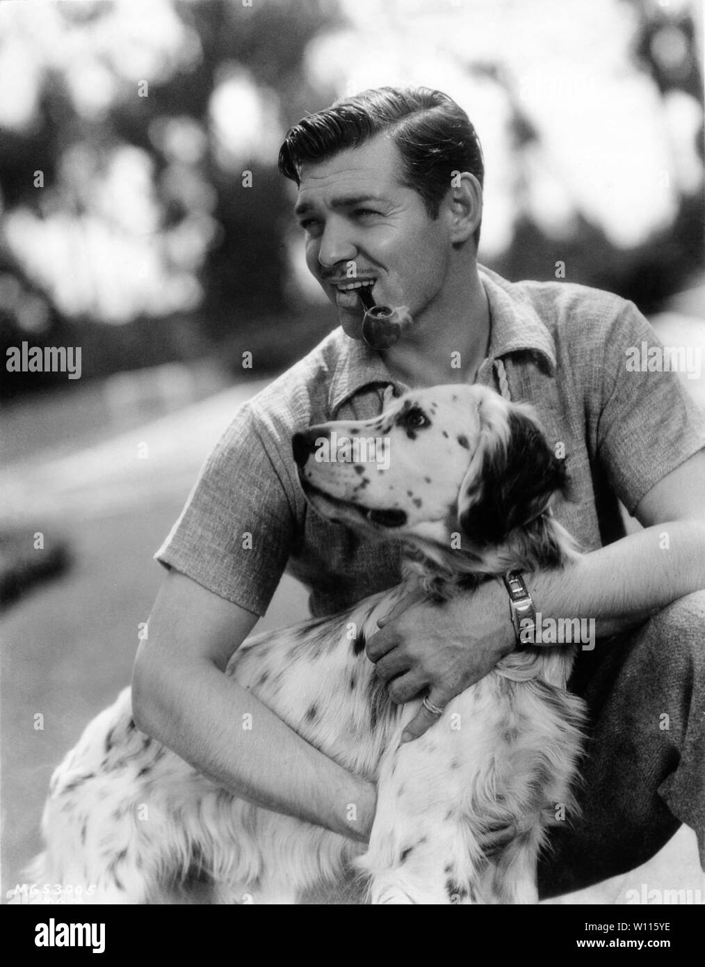CLARK GABLE with Snooper his favourite hunting dog 1936 Publicity ...