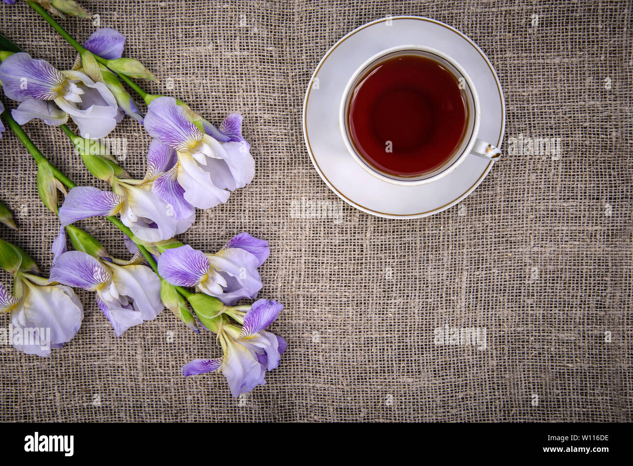 Beautiful purple flowers irises and a cup of tea on a gray canvas ...