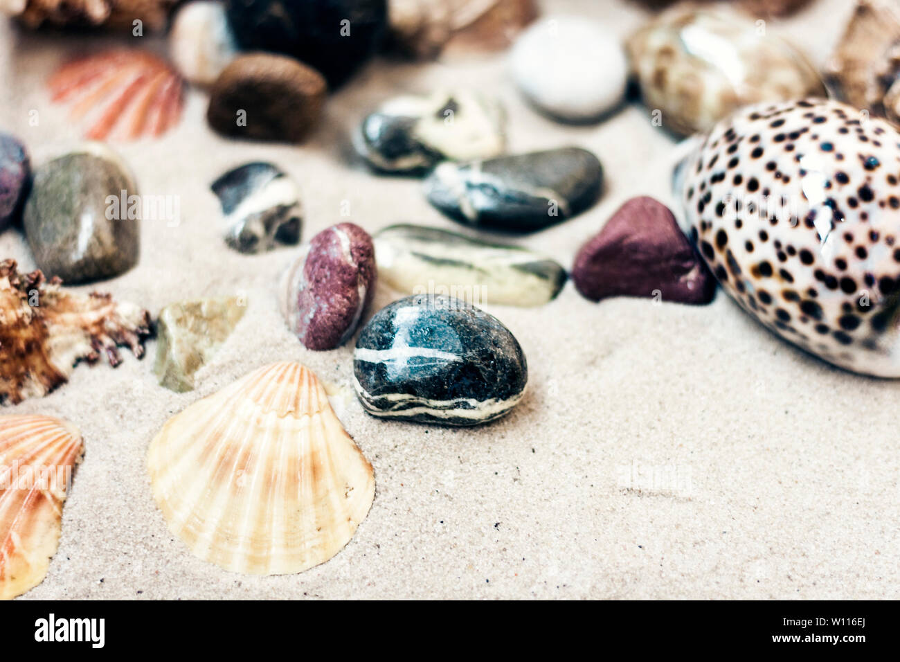 Seashells and stones on the sand, summer beach background travel ...