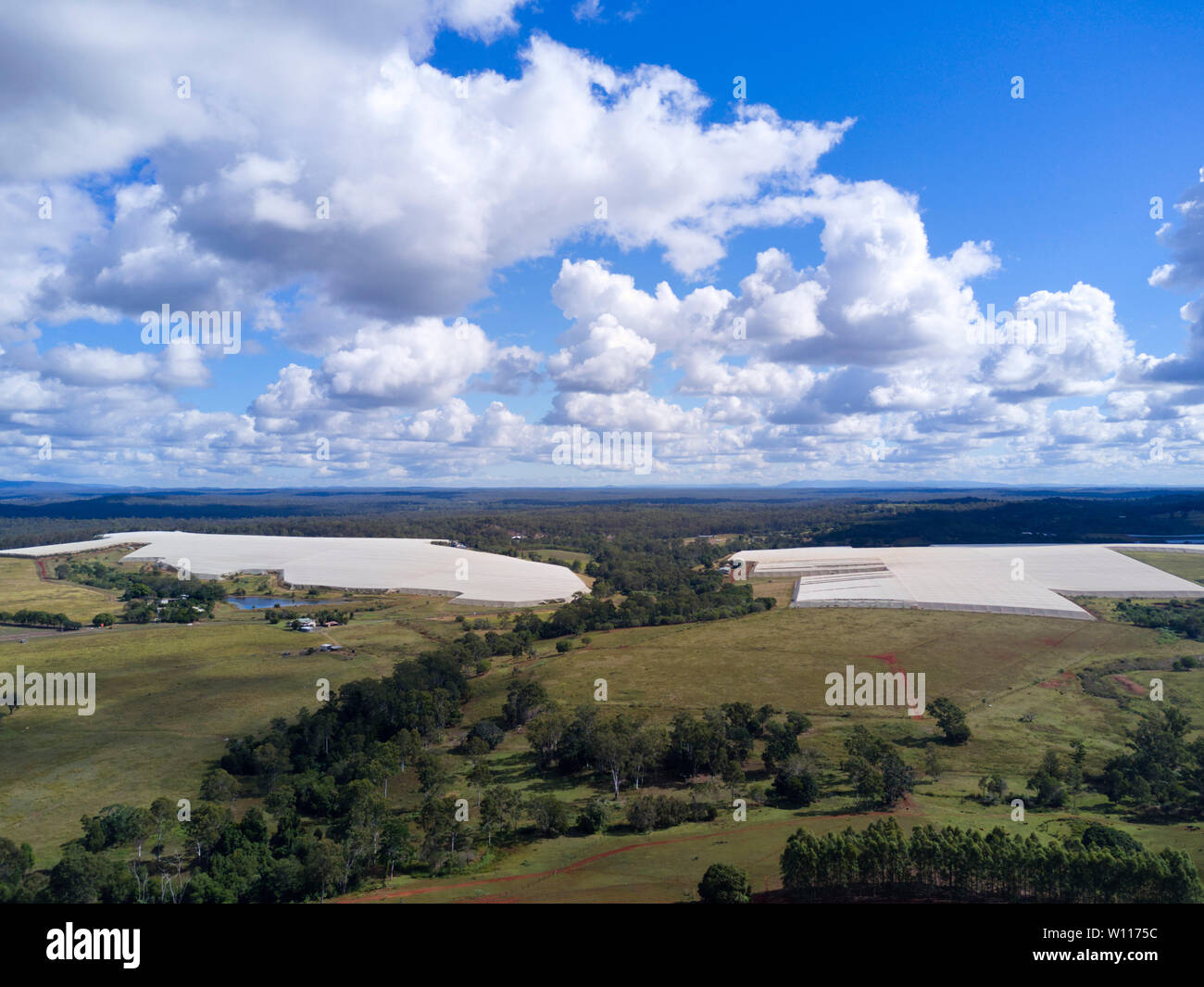 Netted fruit tree hi-res stock photography and images - Alamy