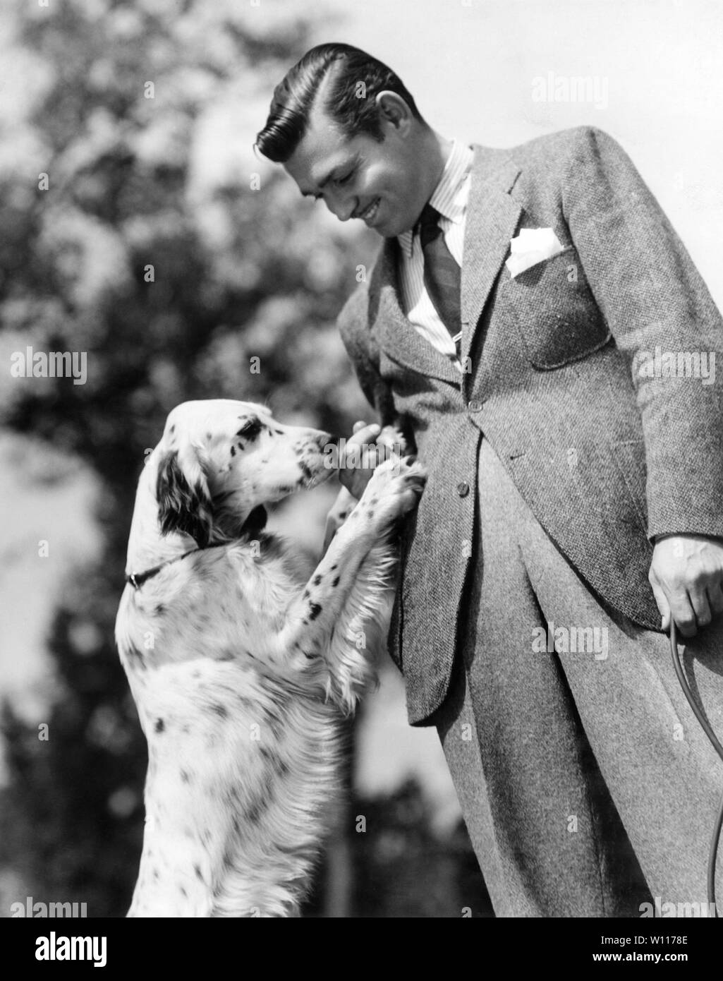 CLARK GABLE with Snooper his favourite hunting dog 1936 Publicity ...