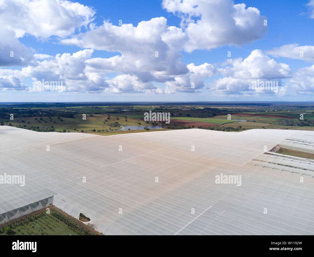 Aerial of netted fruit commercial orchard near Childers Queensland ...