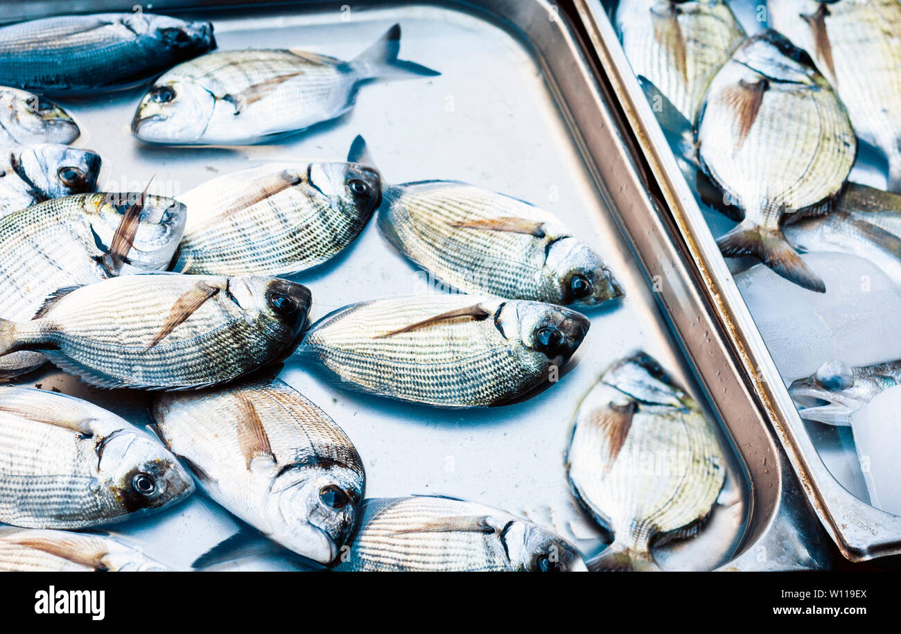 Sicily street food oyster hi-res stock photography and images - Alamy