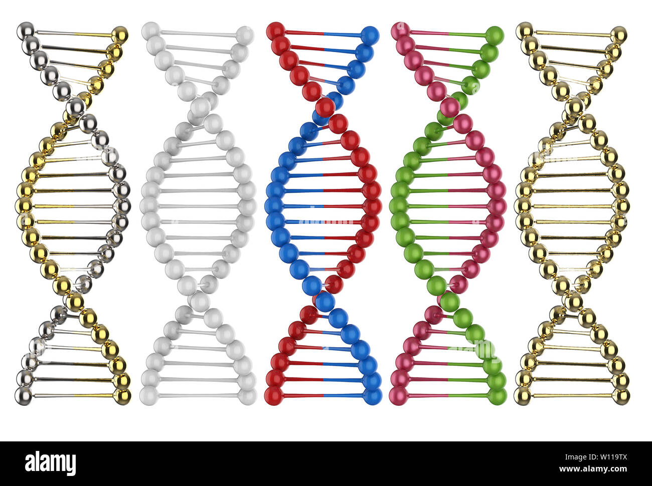 3d rendering set of dna helix structures isolated on white Stock Photo - Alamy