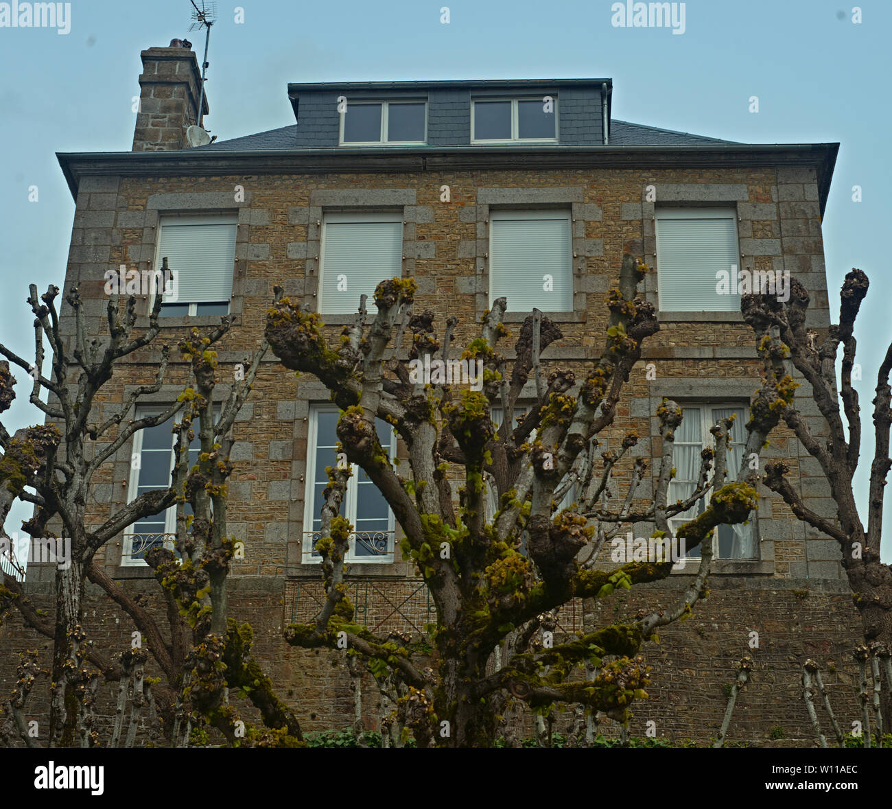 Big stone house with lot of windows and trees in front Stock Photo - Alamy