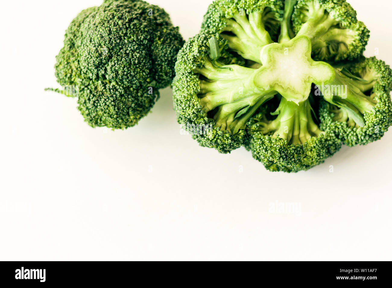 Broccoli inflorescence on white background isolated with space for text ...