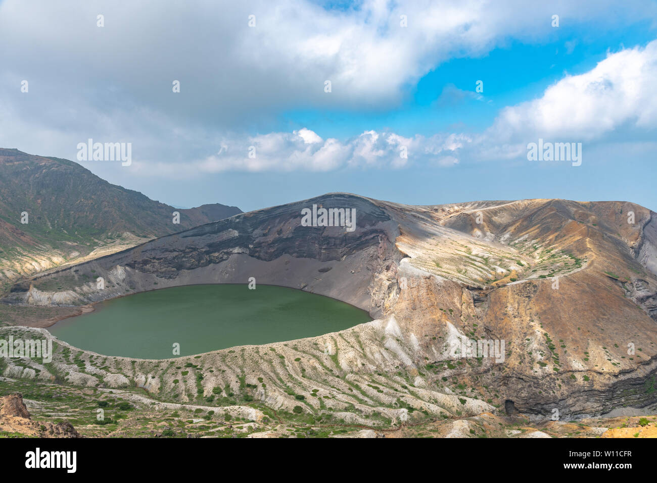 Goshikidake hi-res stock photography and images - Alamy