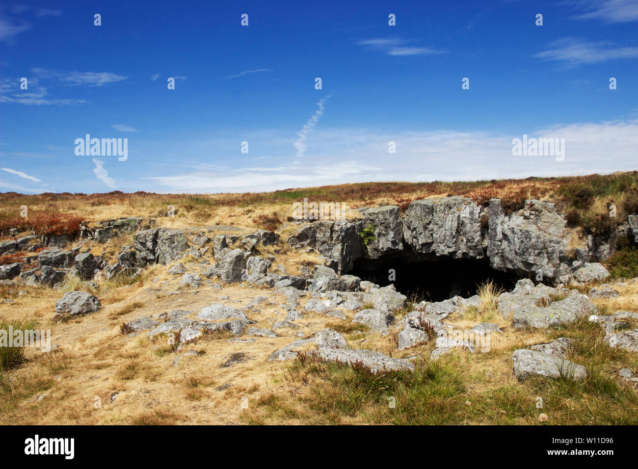 Chartists hi-res stock photography and images - Alamy