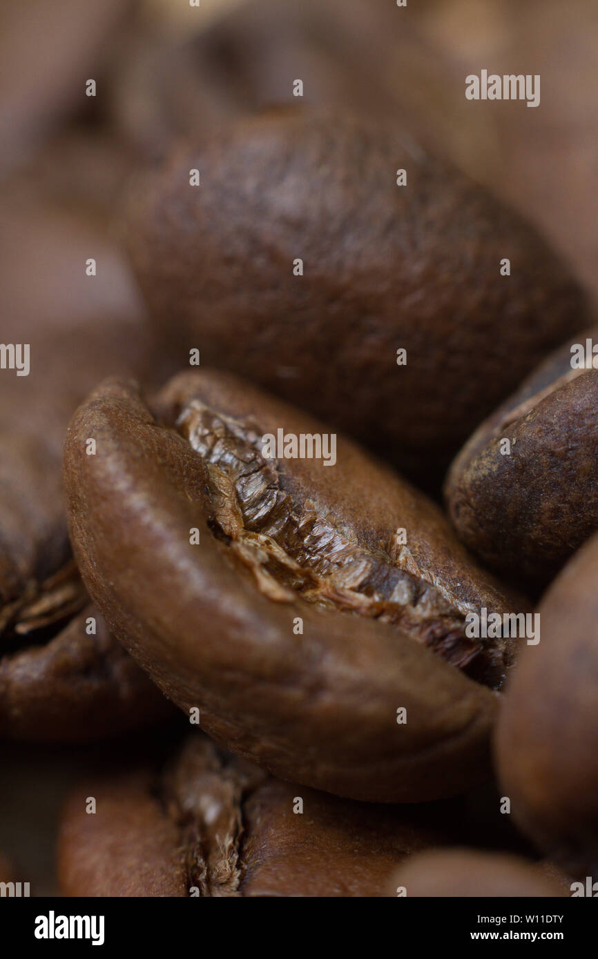 elements related to coffee and coffee shops Stock Photo - Alamy