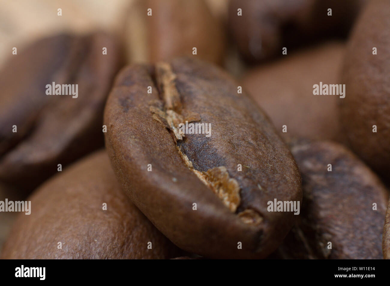 elements related to coffee and coffee shops Stock Photo - Alamy