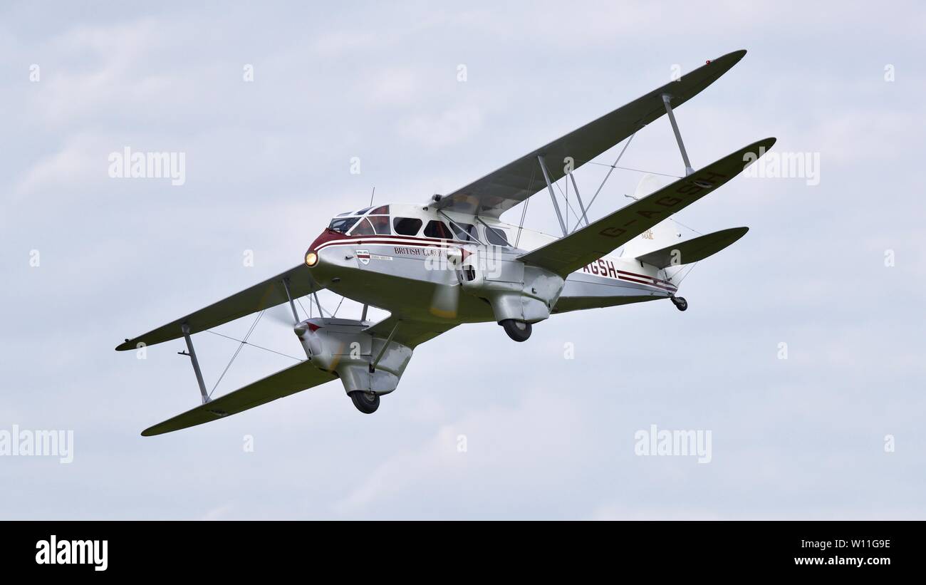 European Dragons In Flight