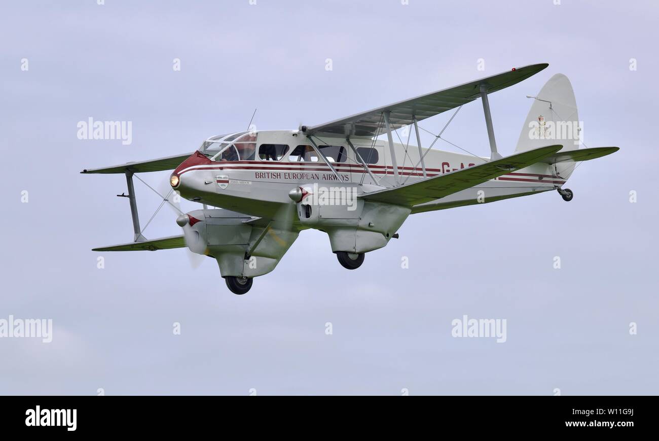 European Dragons In Flight