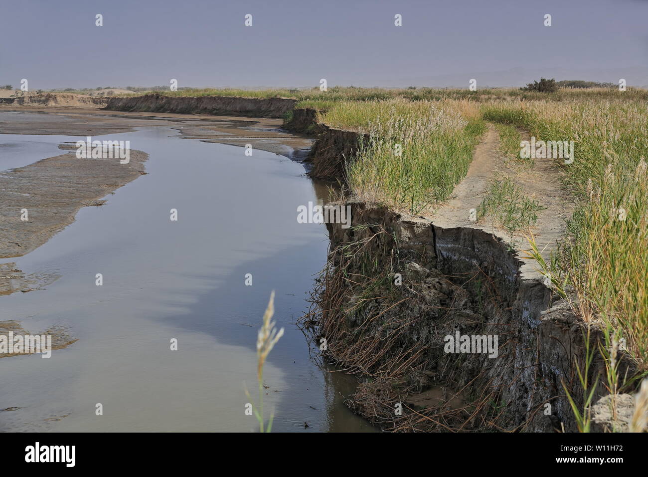 Right bank-Keriya river flowing northwards into the Taklamakan desert ...