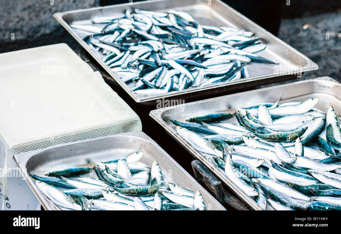Fresh fish for sale in the fish market Pescheria of Catania, Sicily ...
