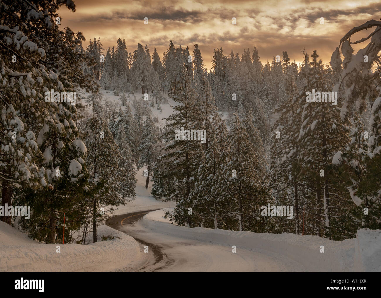 Mountain road highway 120 towards Yosemite, California, USA, on a ...