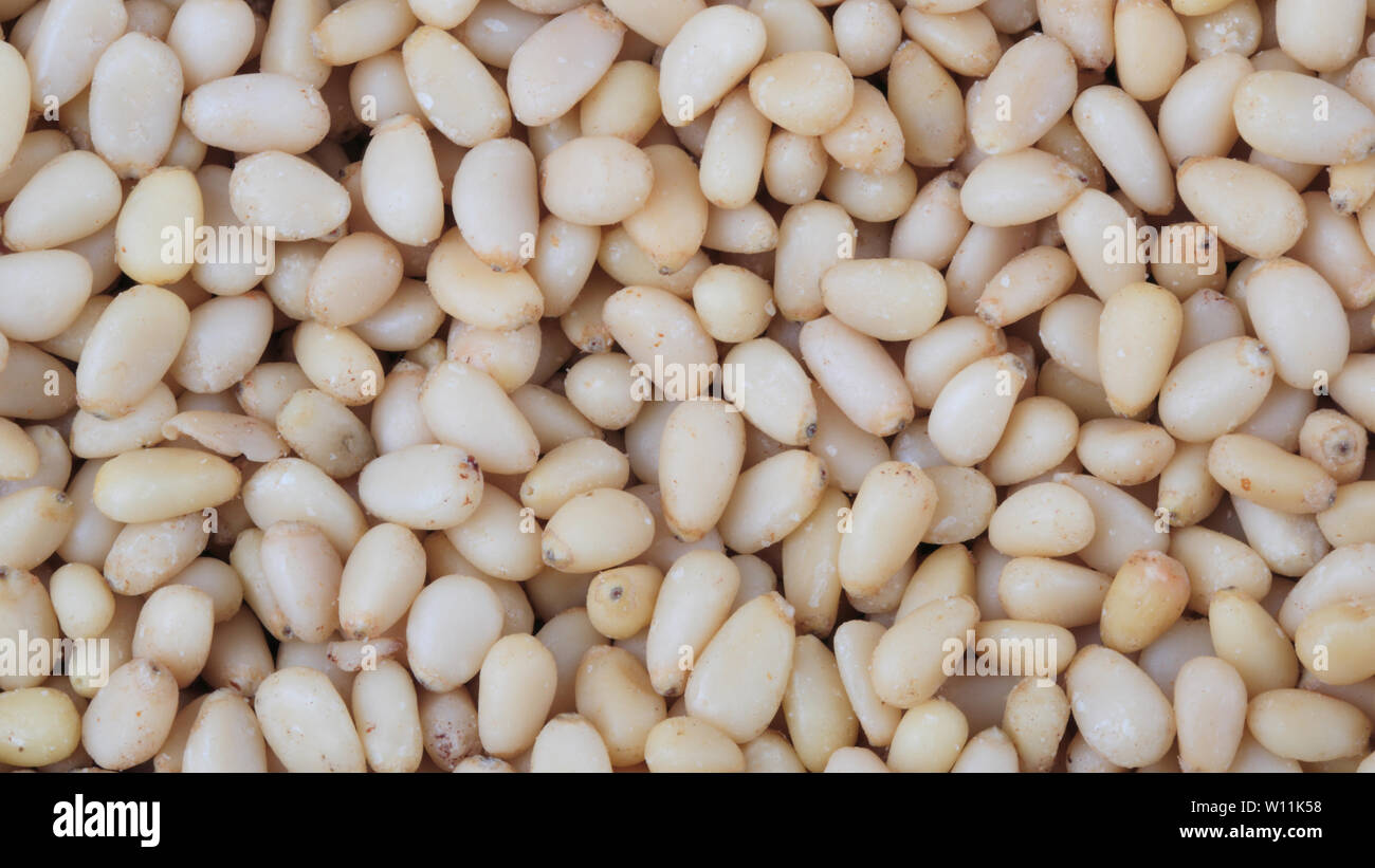 many cedar nut at day Stock Photo - Alamy