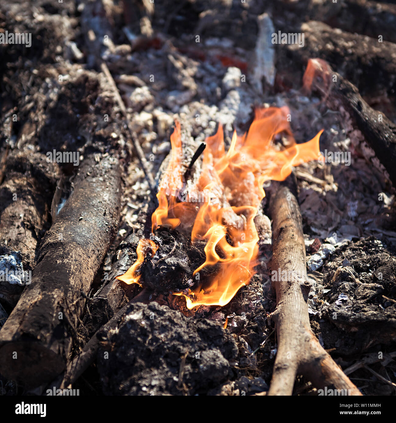 Burning bonfire close-up Stock Photo - Alamy