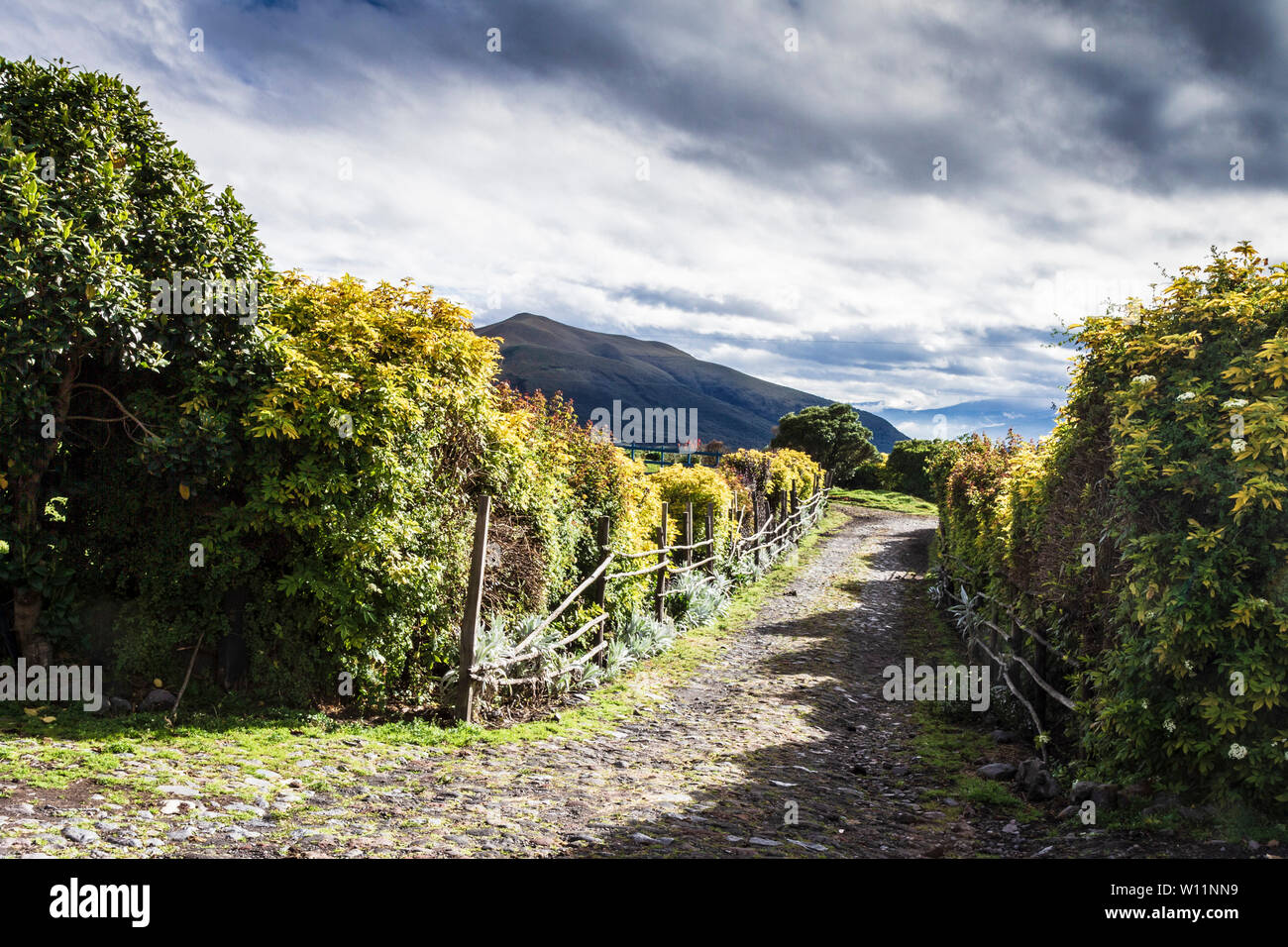 Hacienda access road Stock Photo - Alamy