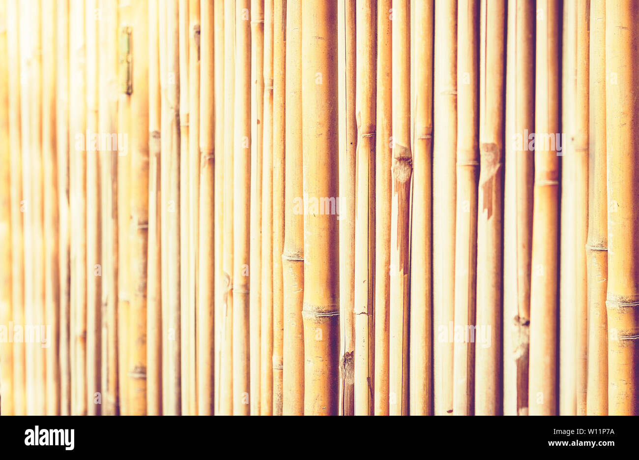 Bamboo background texture with copy space for text Stock Photo - Alamy