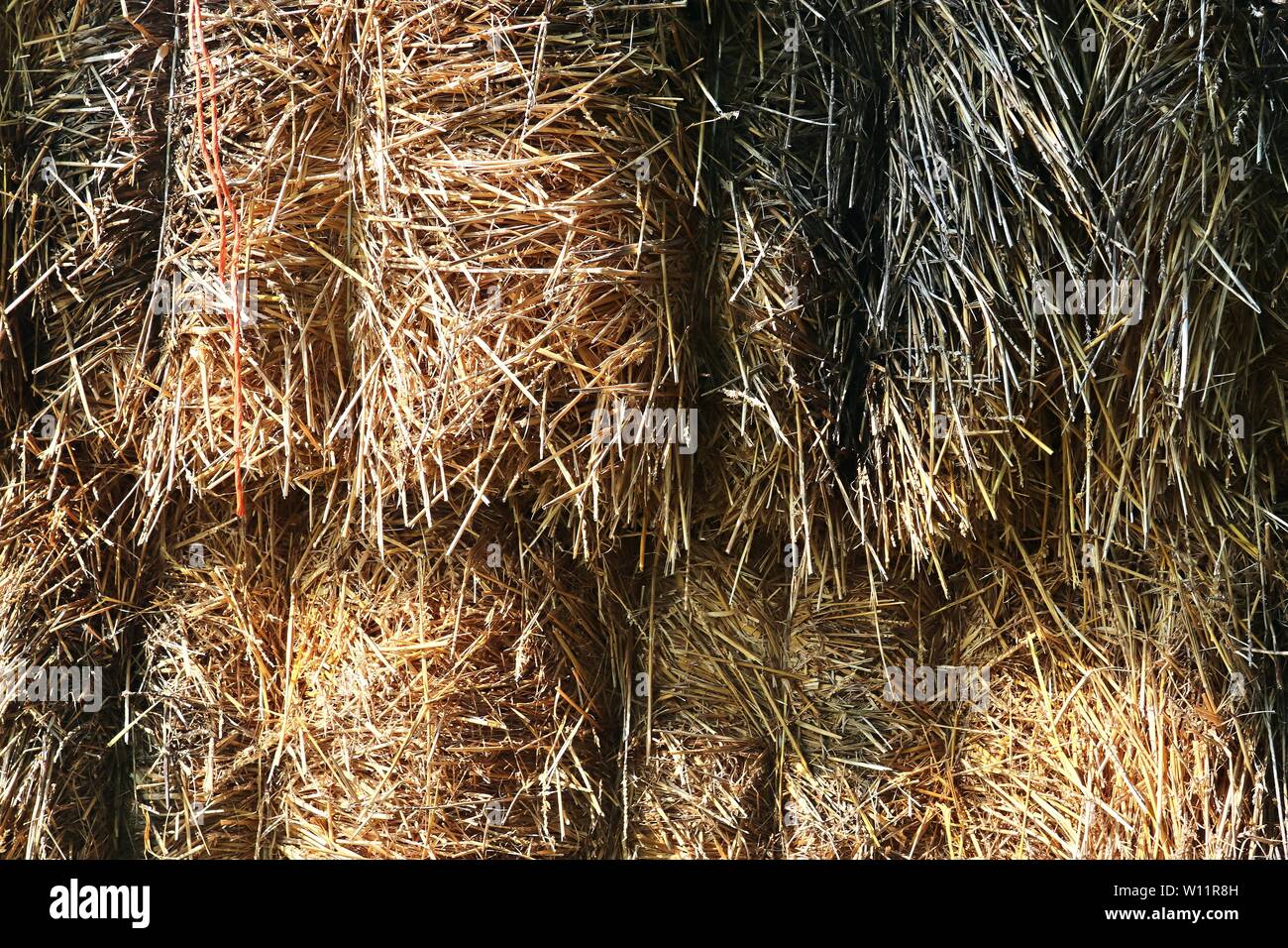 Detailed close up surface of straw and hay seen on a farm Stock Photo ...