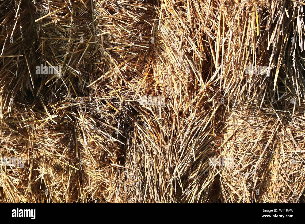 Detailed close up surface of straw and hay seen on a farm Stock Photo ...