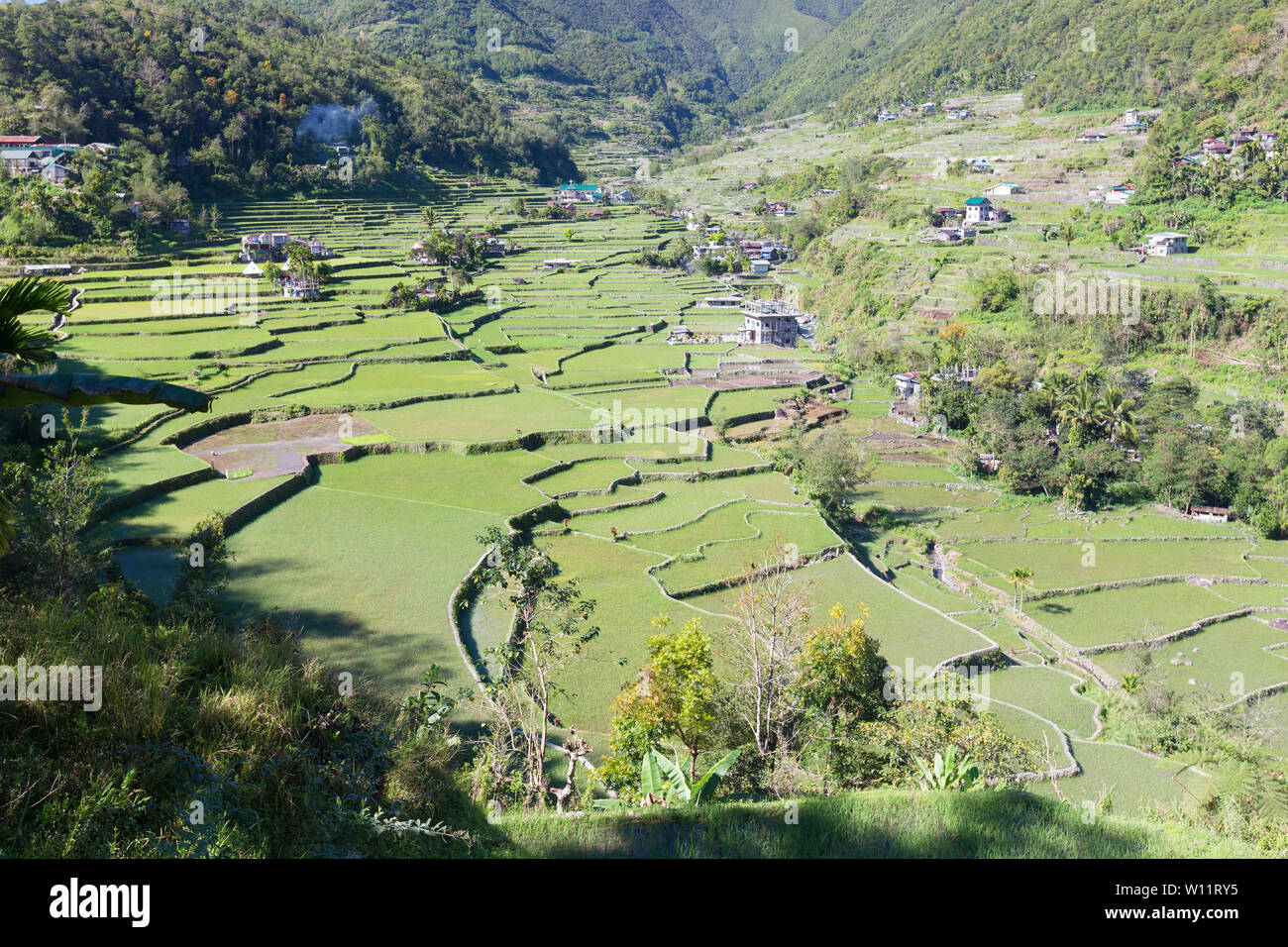 Hapao rice terraces, near Banaue, Philippines Stock Photo - Alamy