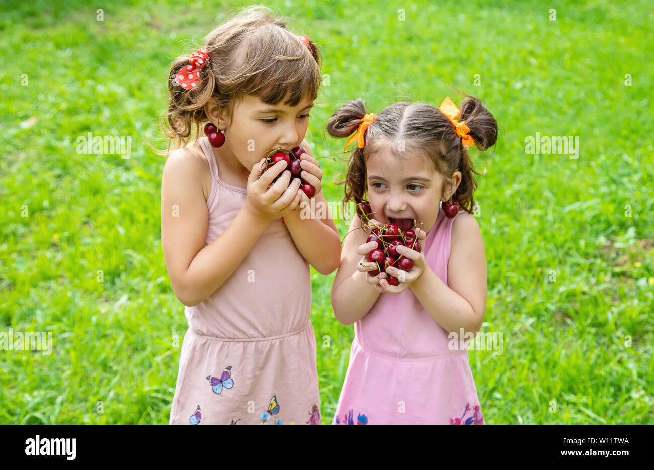 Children eat cherries in the summer. Selective focus Stock Photo - Alamy