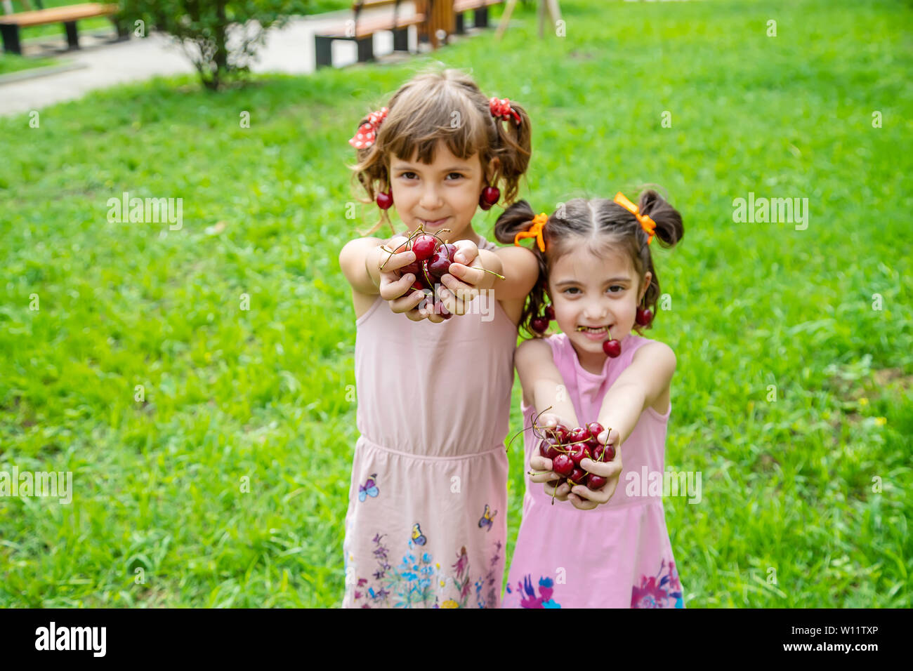 Children eat cherries in the summer. Selective focus Stock Photo - Alamy