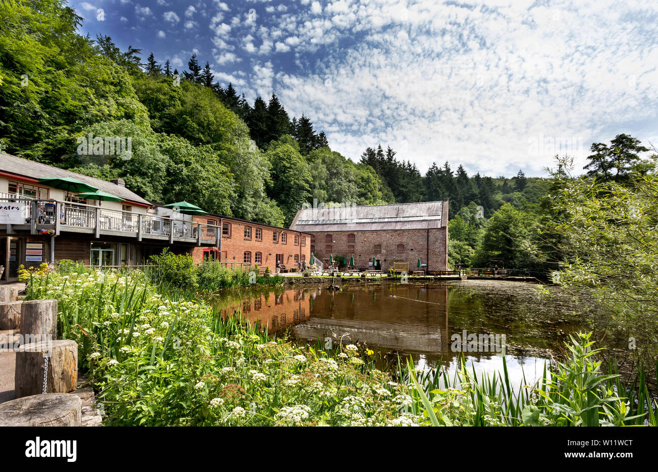 Soudley pond hi-res stock photography and images - Alamy