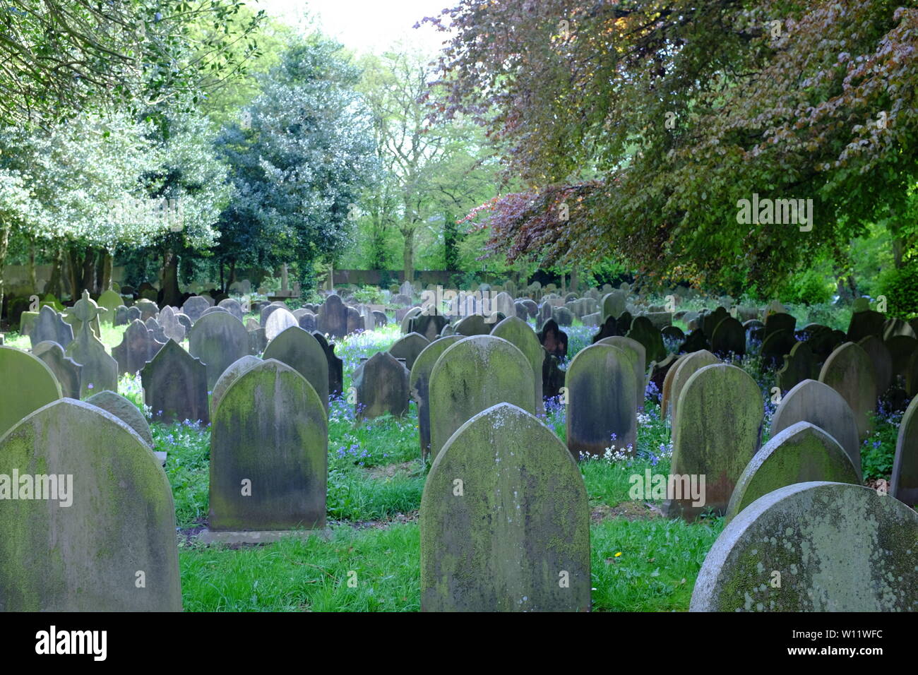 Images of Bootle Buildings. The Town Hall,Christ Church & The Triad ...