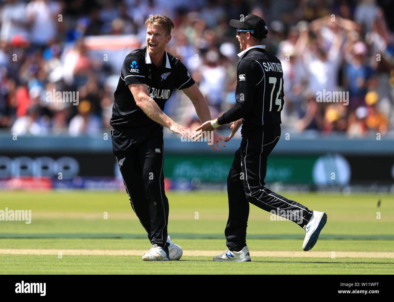 New Zealand's James Neesham (left) celebrates the wicket of Australia's ...