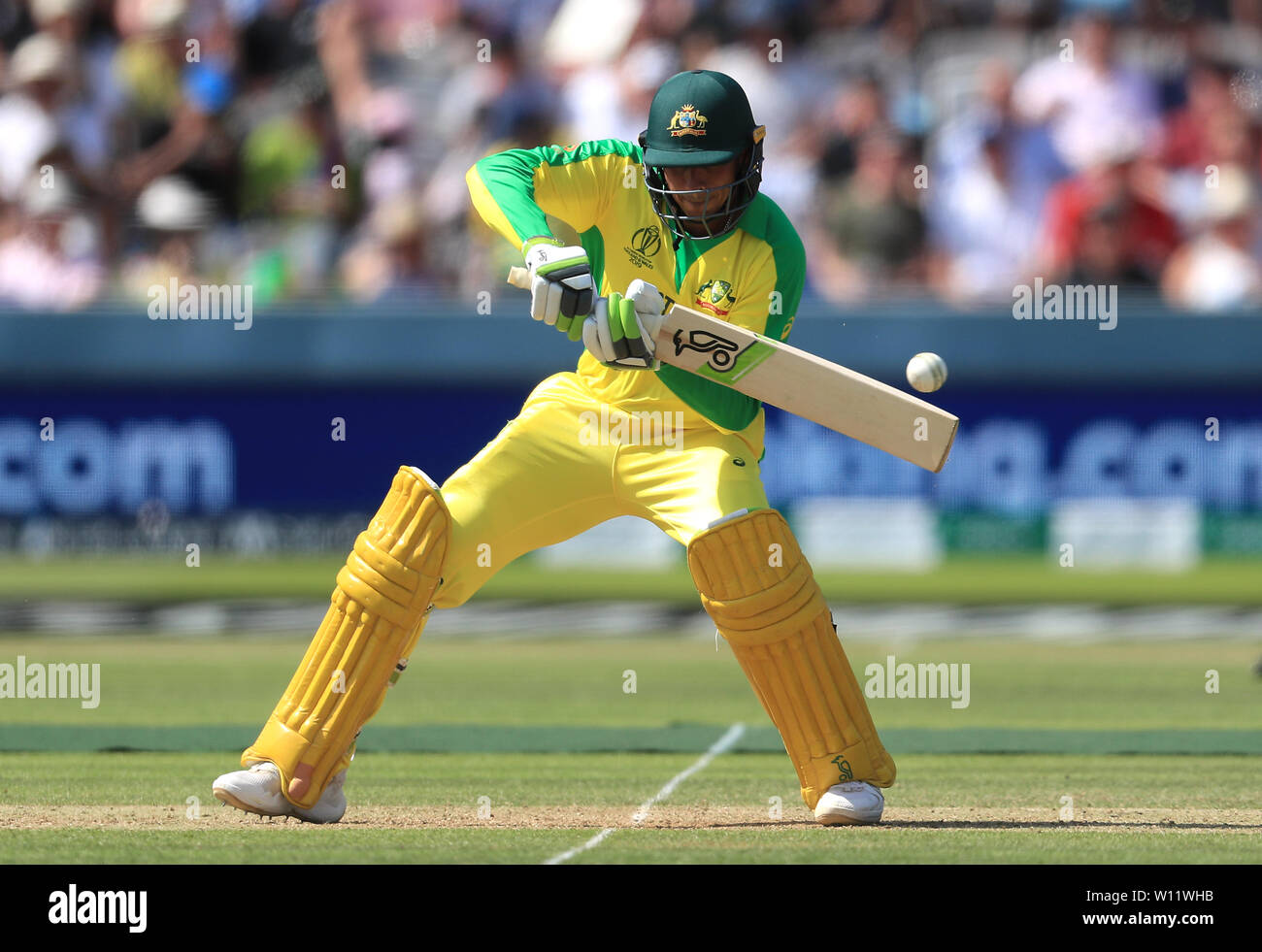 Australia's Alex Carey in action during the ICC cricket World Cup group ...