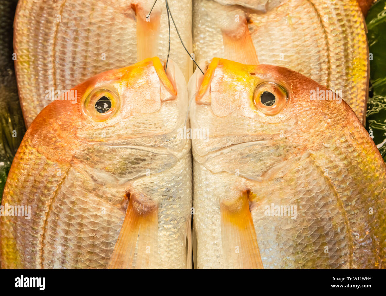 Fresh fish sale at the dock seafood market Stock Photo - Alamy