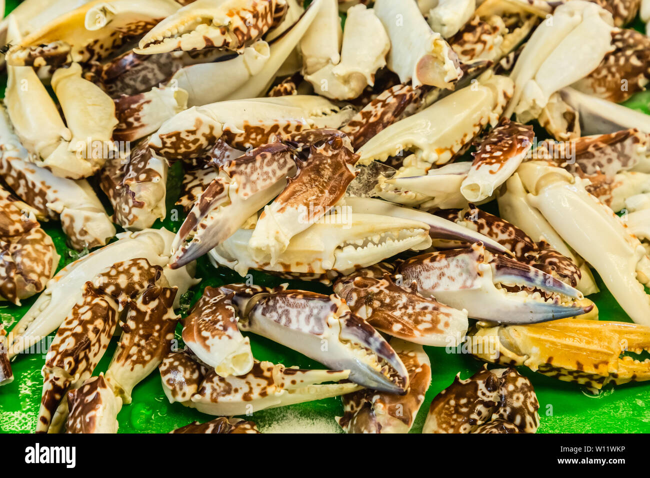 Chelate hi-res stock photography and images - Alamy