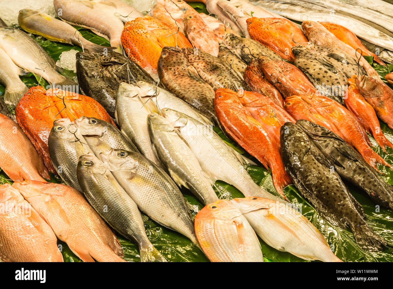 Fresh fish sale at the dock seafood market Stock Photo - Alamy