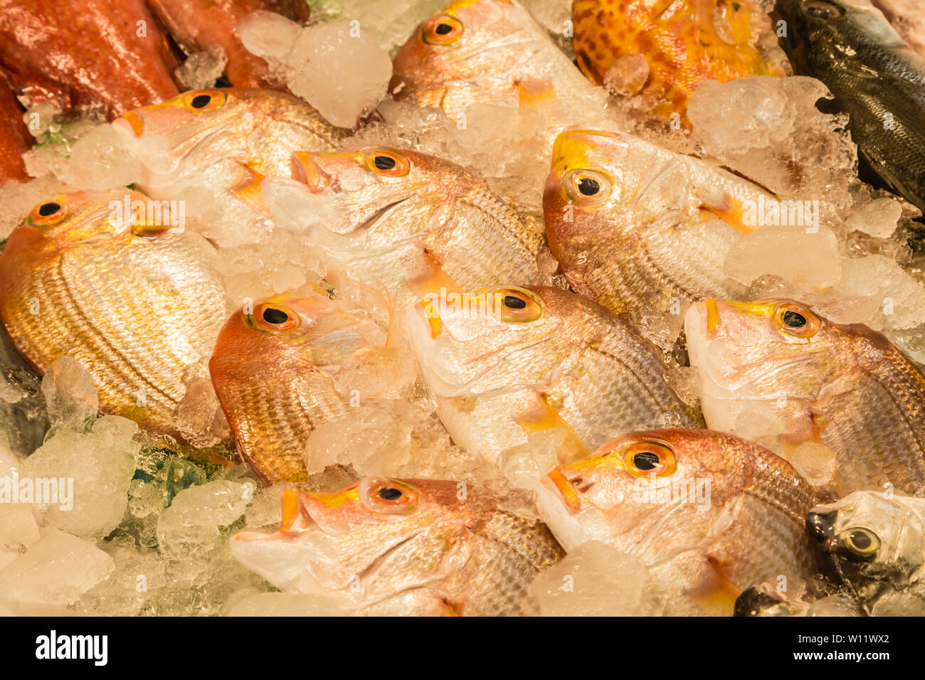 Fresh fish sale at the dock seafood market Stock Photo - Alamy