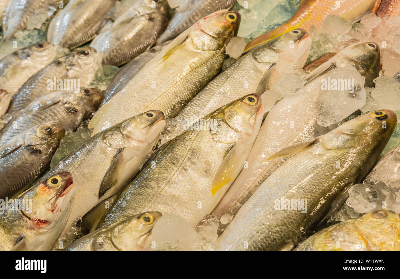 Fresh fish sale at the dock seafood market Stock Photo - Alamy
