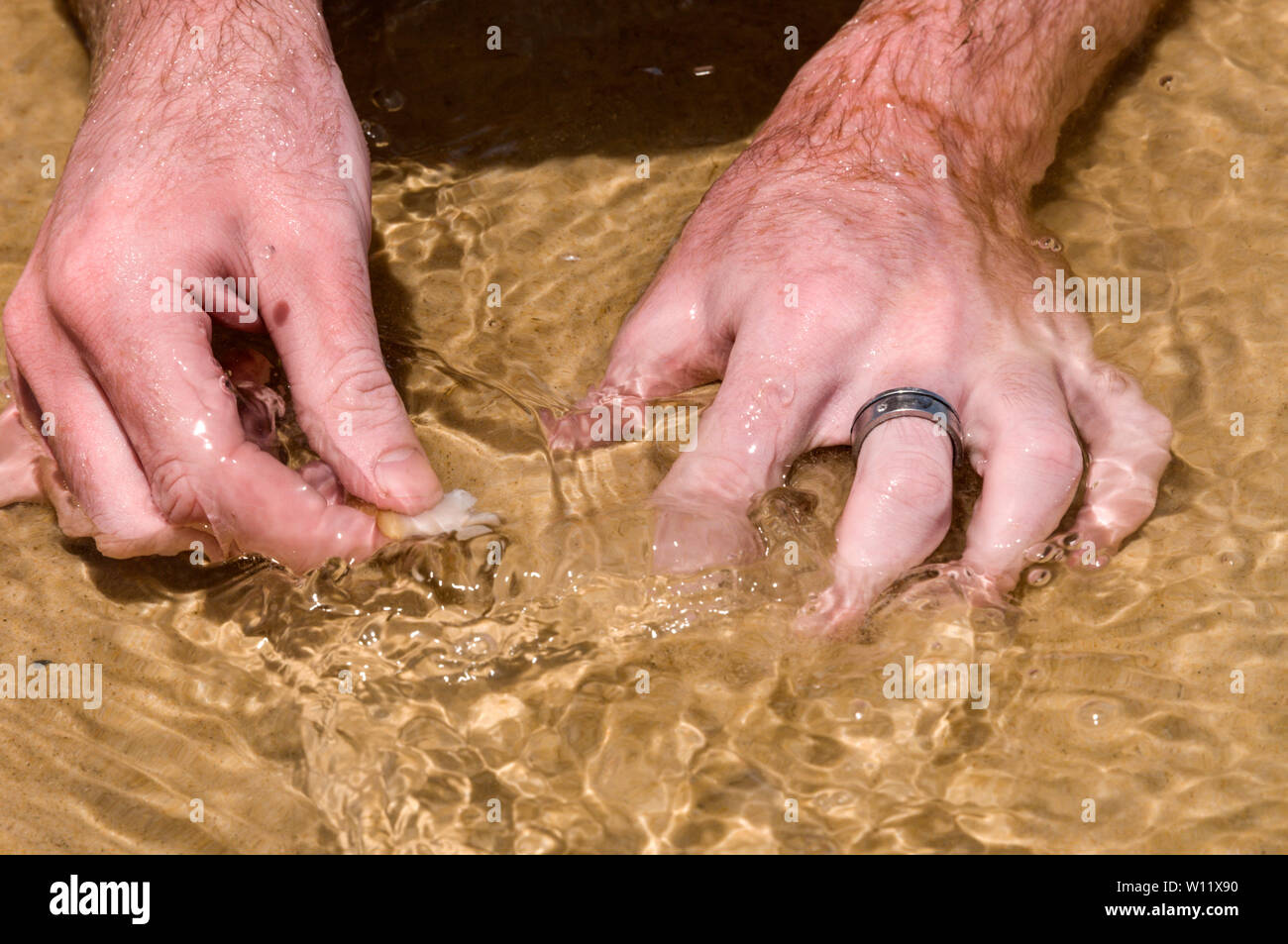 Searching for sea worms used for fishing bait along the 75 mile beach ...